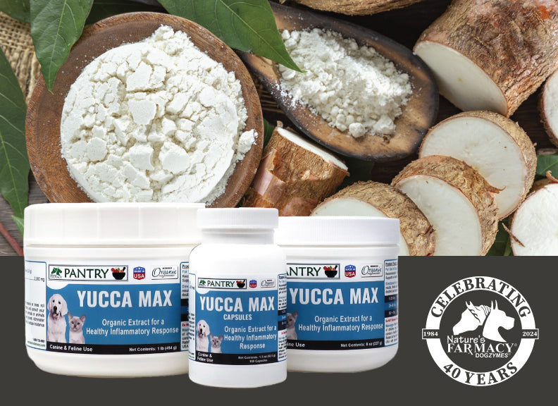 Yucca Max: A Natural Supplement for Pet Health – Nature's Farmacy