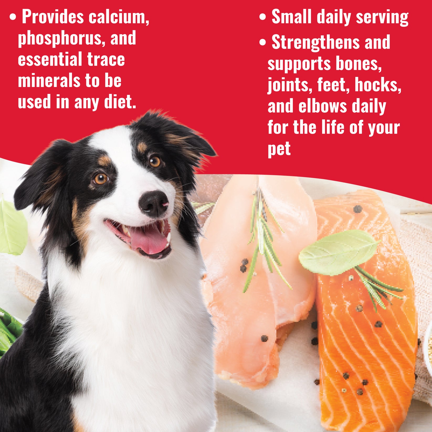 Dogzymes Bone Builder – Nature's Farmacy