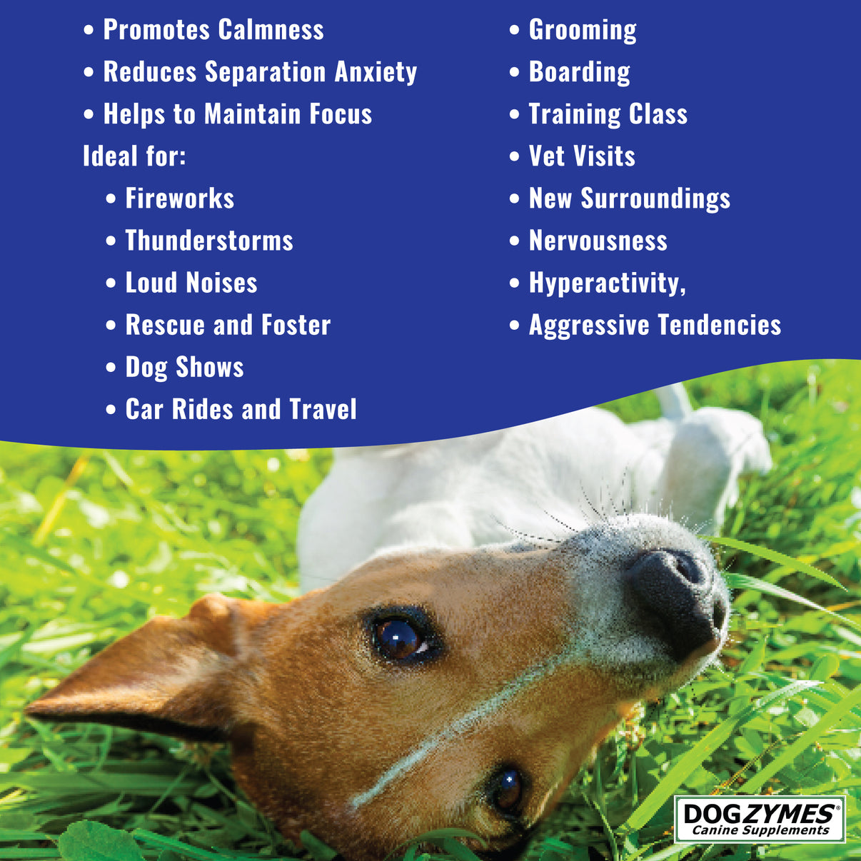 Dogzymes Calm Paste – Nature's Farmacy