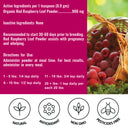 Organic Red Raspberry Leaf Powder – Nature's Farmacy