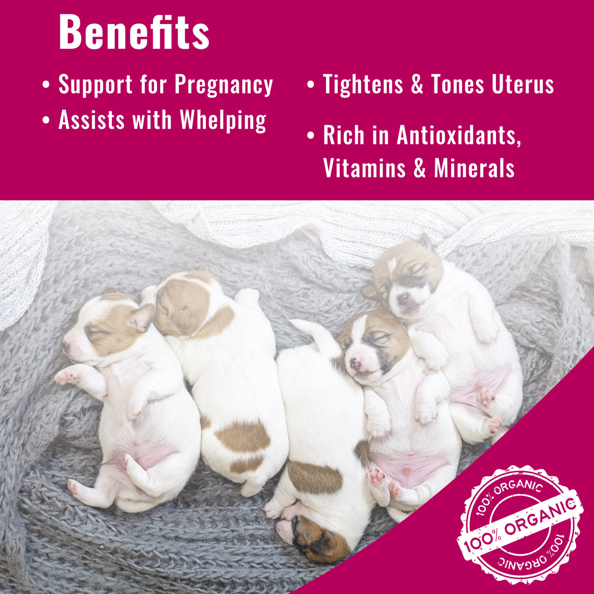 Organic Red Raspberry Leaf Powder – Nature's Farmacy