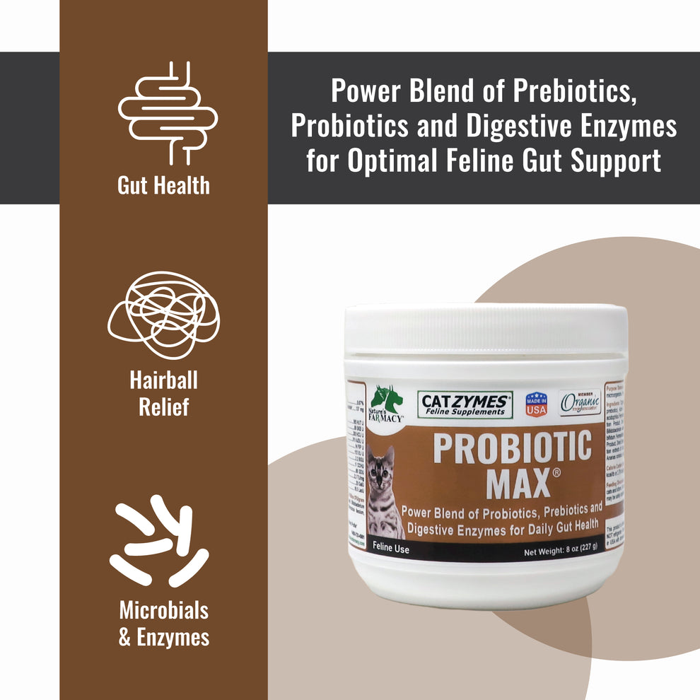 Catzymes Probiotic Max – Nature's Farmacy