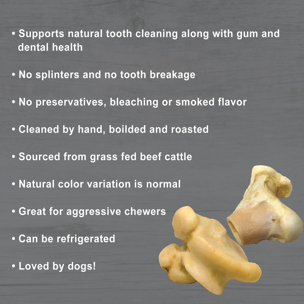 Knuckle Bone - Chew and Dental Tool – Nature's Farmacy
