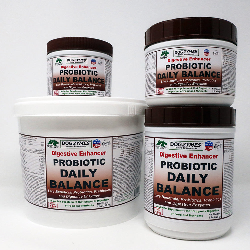 Dogzymes Probiotic Daily Balance 5 Billion CFU gm, Liver and Egg Base ...