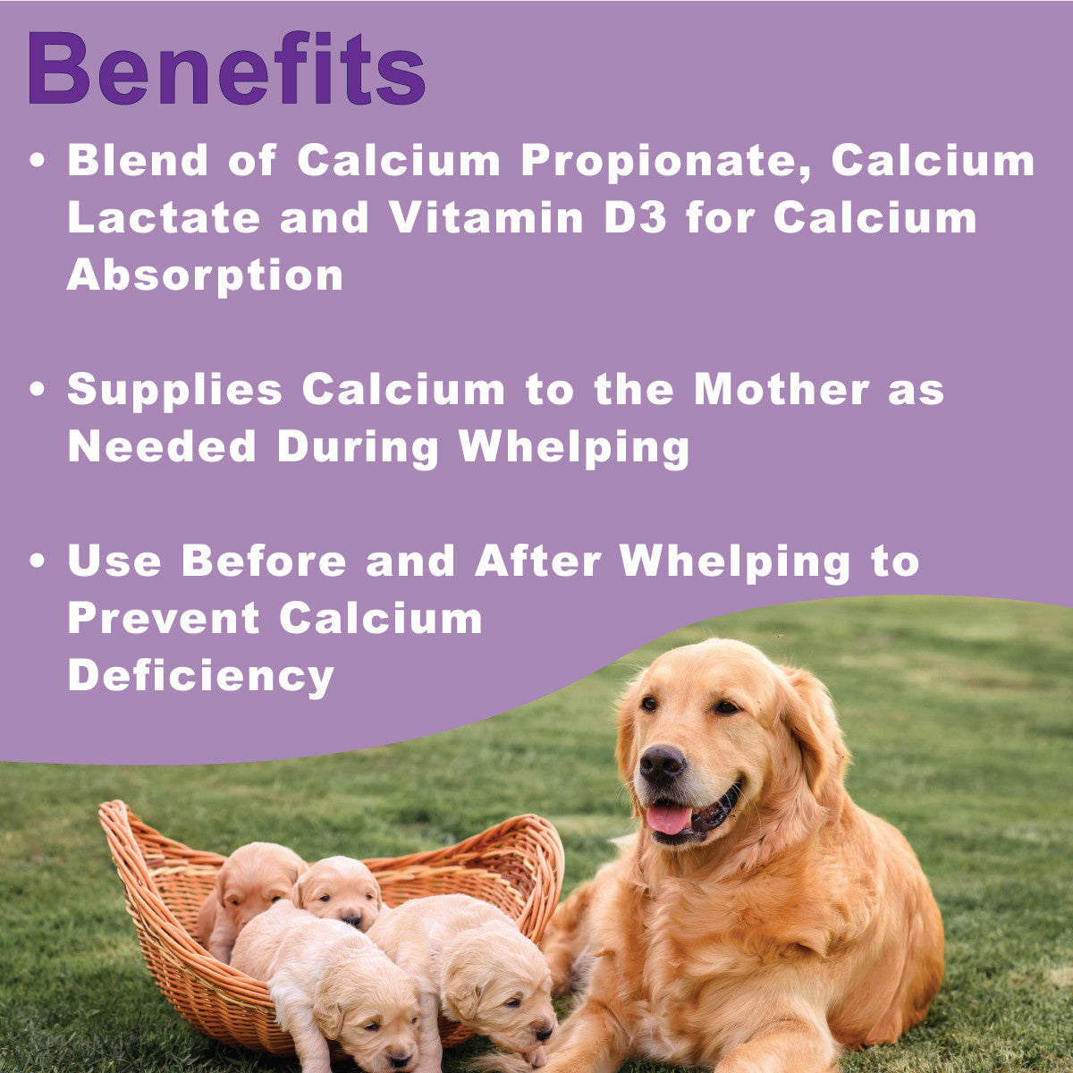 Canine Whelping Calcium Paste – Nature's Farmacy